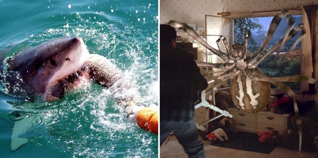 The 35 Scariest Horror Movie Animals, Ranked By Fans