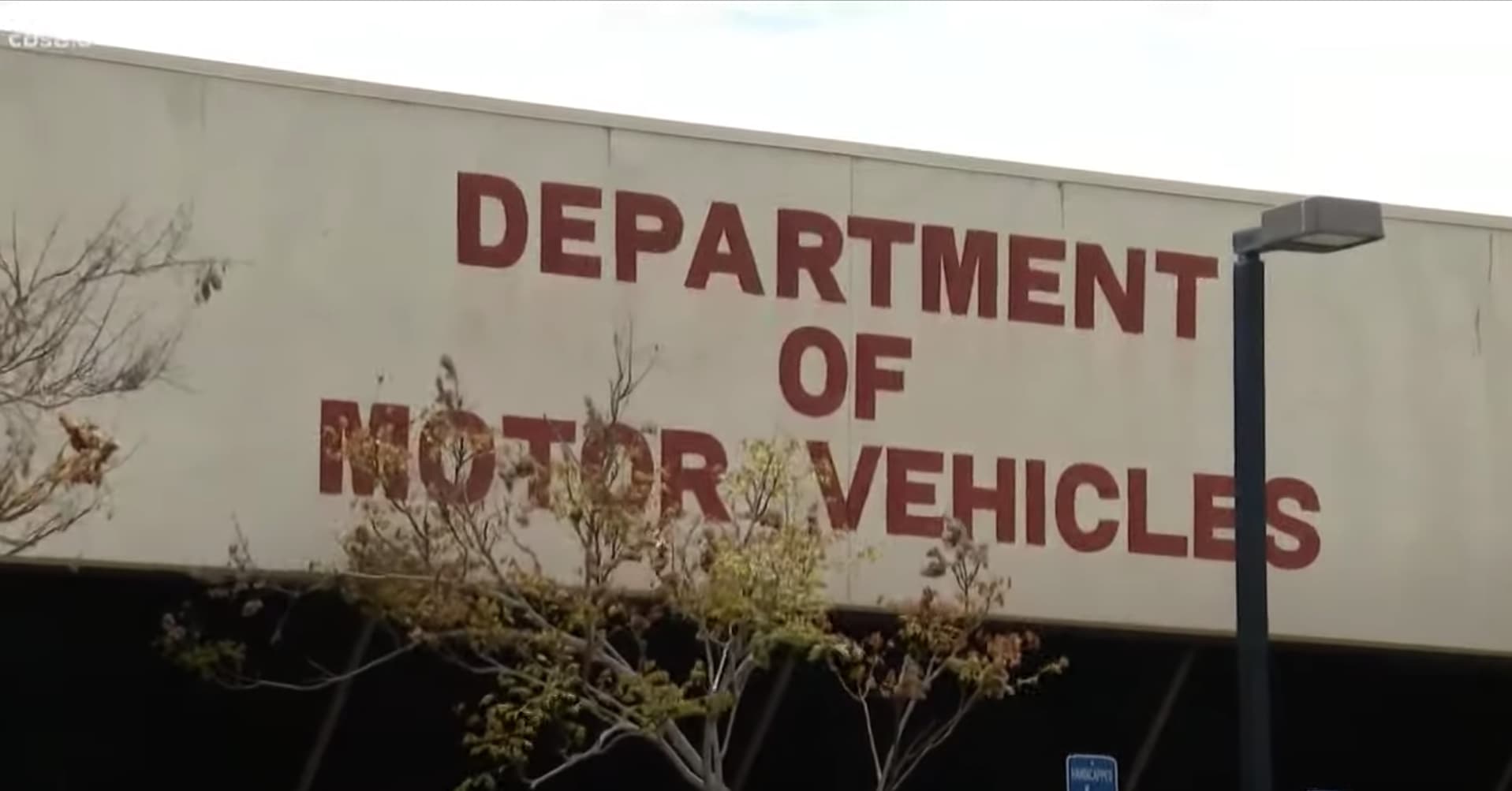 DMV Horror Stories That Made Us Want To Take The Bus Instead