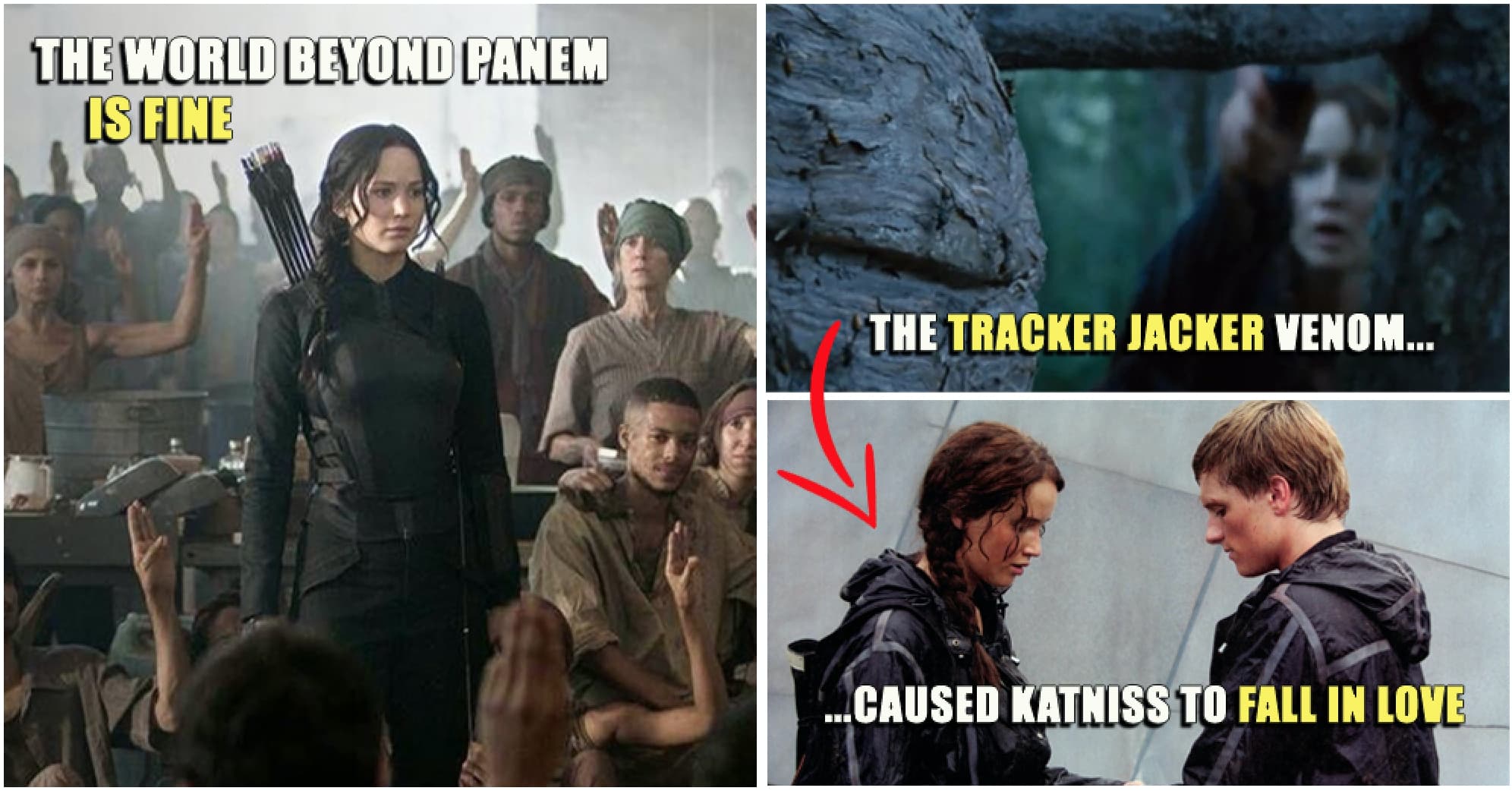 Fan Theories About 'The Hunger Games' That Prove It's Darker Than We ...