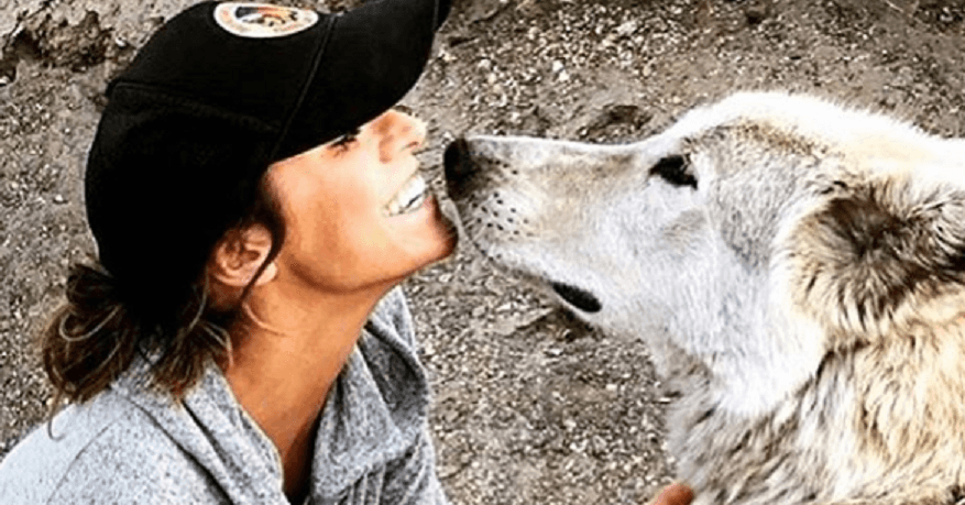 Wolf Therapy For Humans Is A Real Thing And You Can Visit Their ...