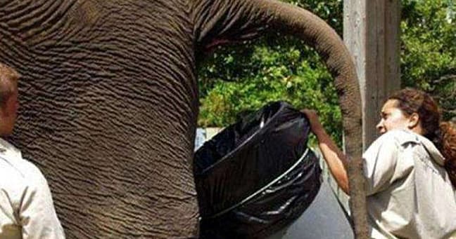 Worst Jobs Ever | Terrible Careers You'd Never Want