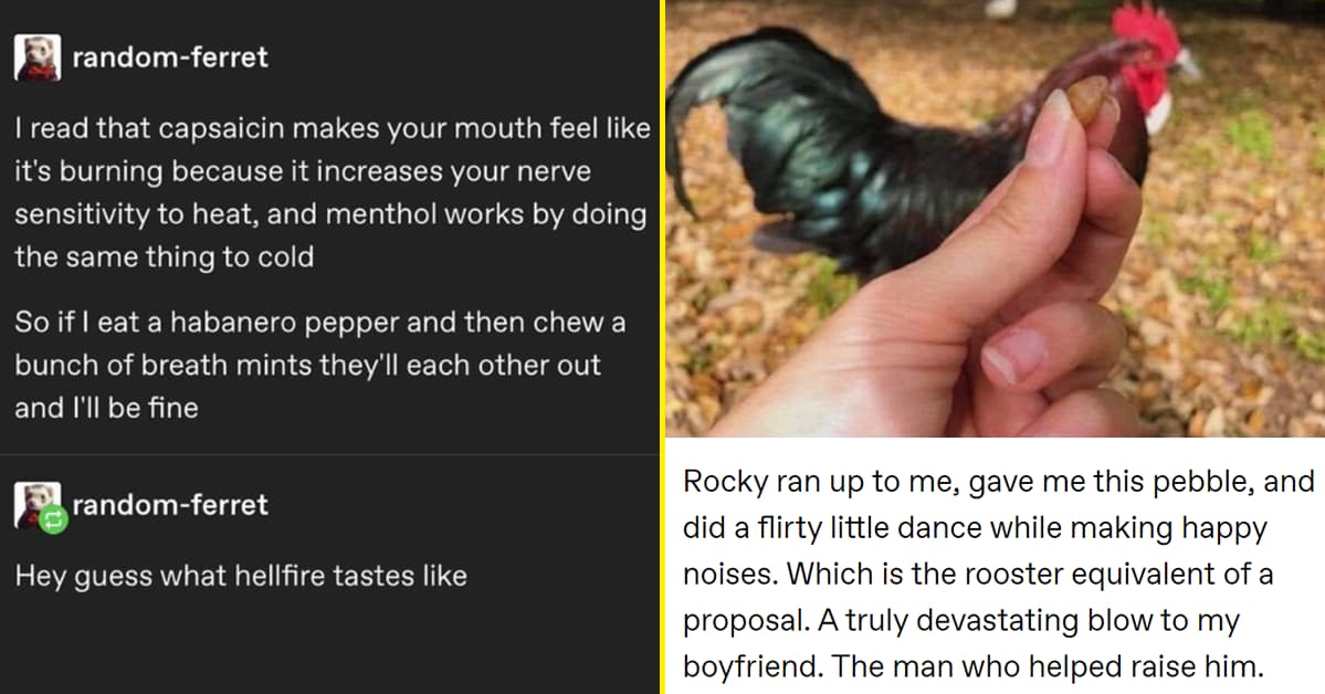 25 Of The Best Tumblr Posts We Saw In 2022 That We Can't Stop Thinking ...