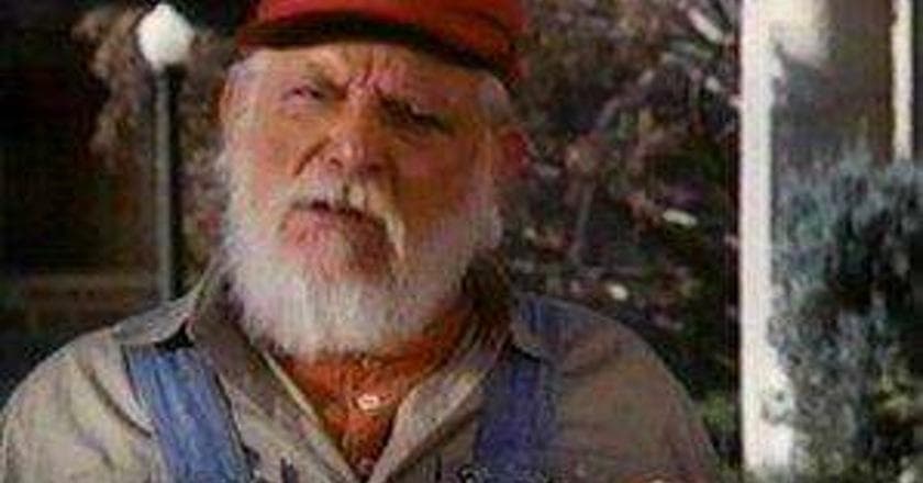 Denver Pyle Movies List: Best to Worst