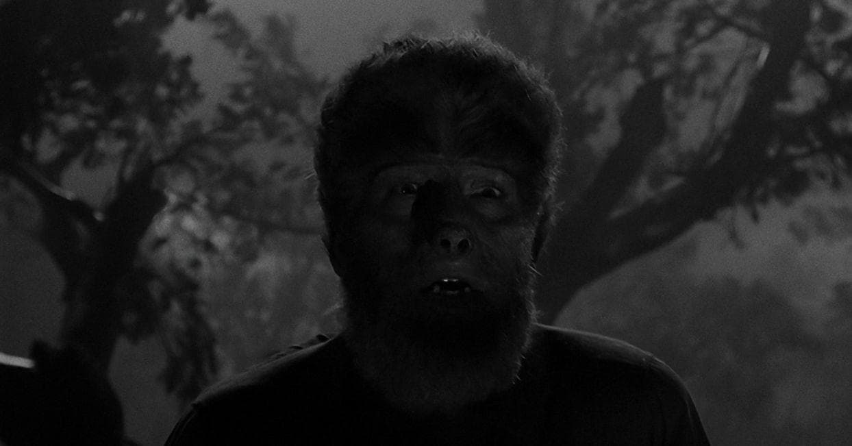 The 30+ Best Werewolf Movies Ever Made, Ranked