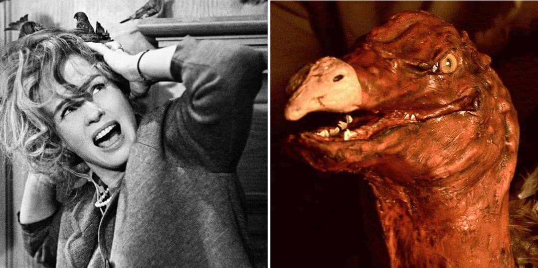 The 20 Best Horror Movies About Birds, Ranked By Fans
