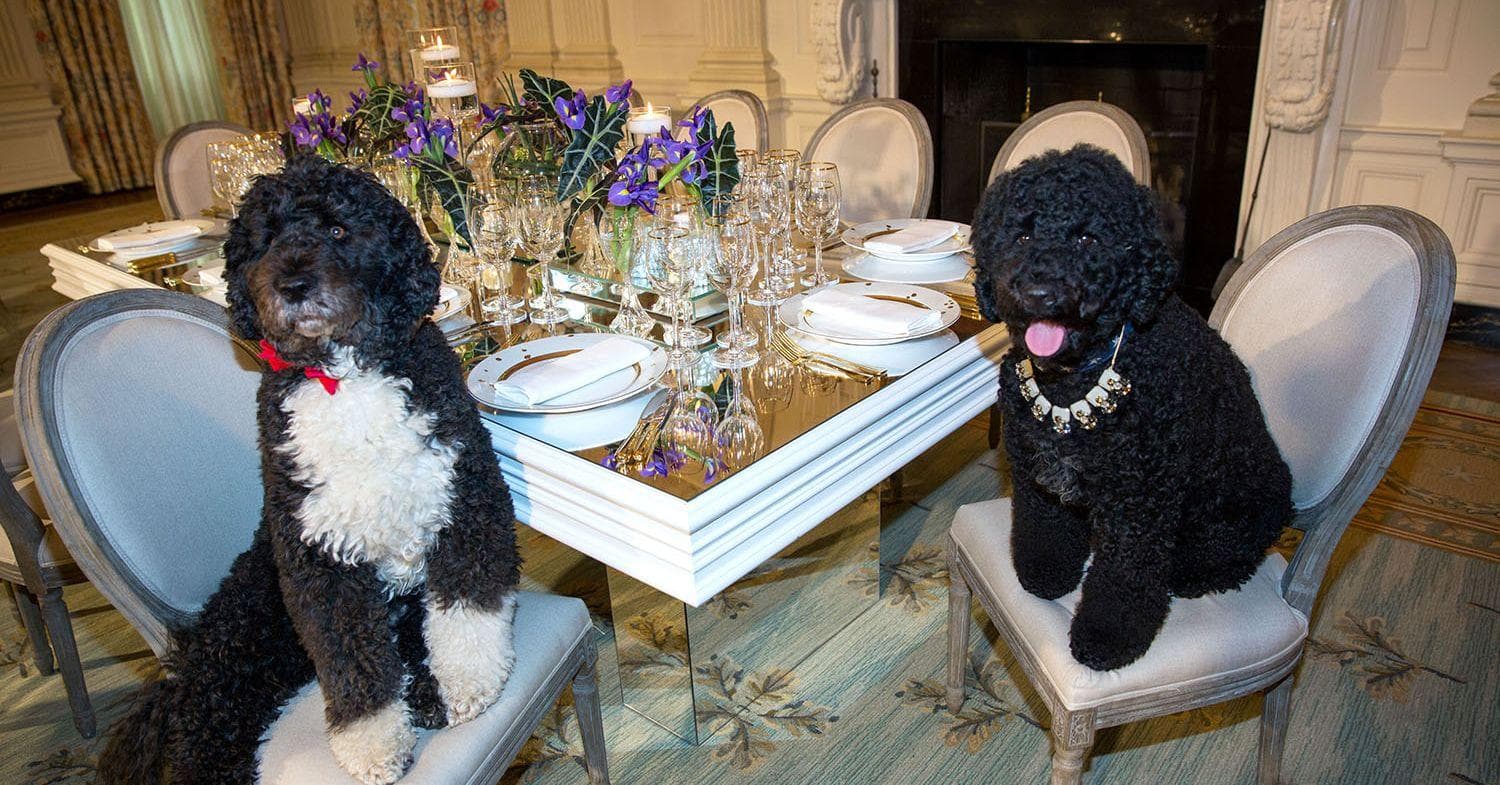 Everything We Know About White House State Dinners