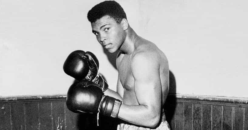 Famous Male Professional Boxers | List of Top Male Professional Boxers Famous Male Professional Boxers | List of Top Male Professional Boxers