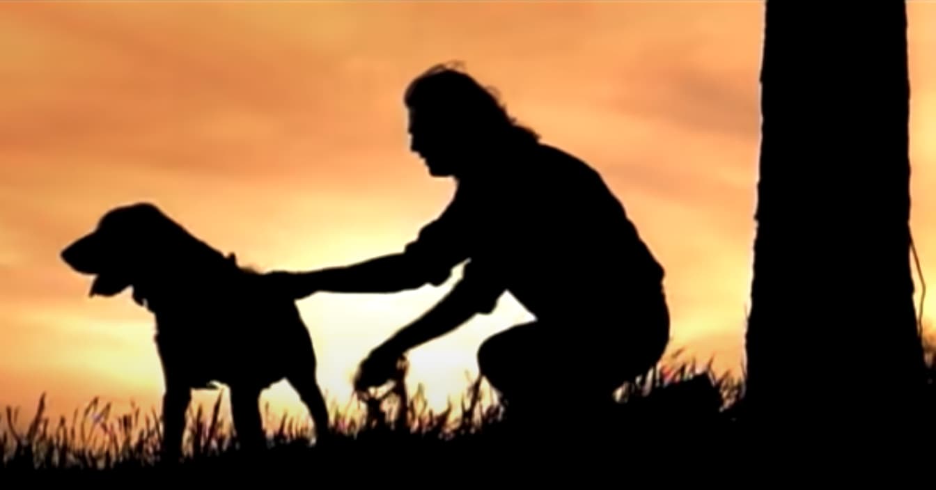 The Best Country Songs About Dogs, Ranked By Fans