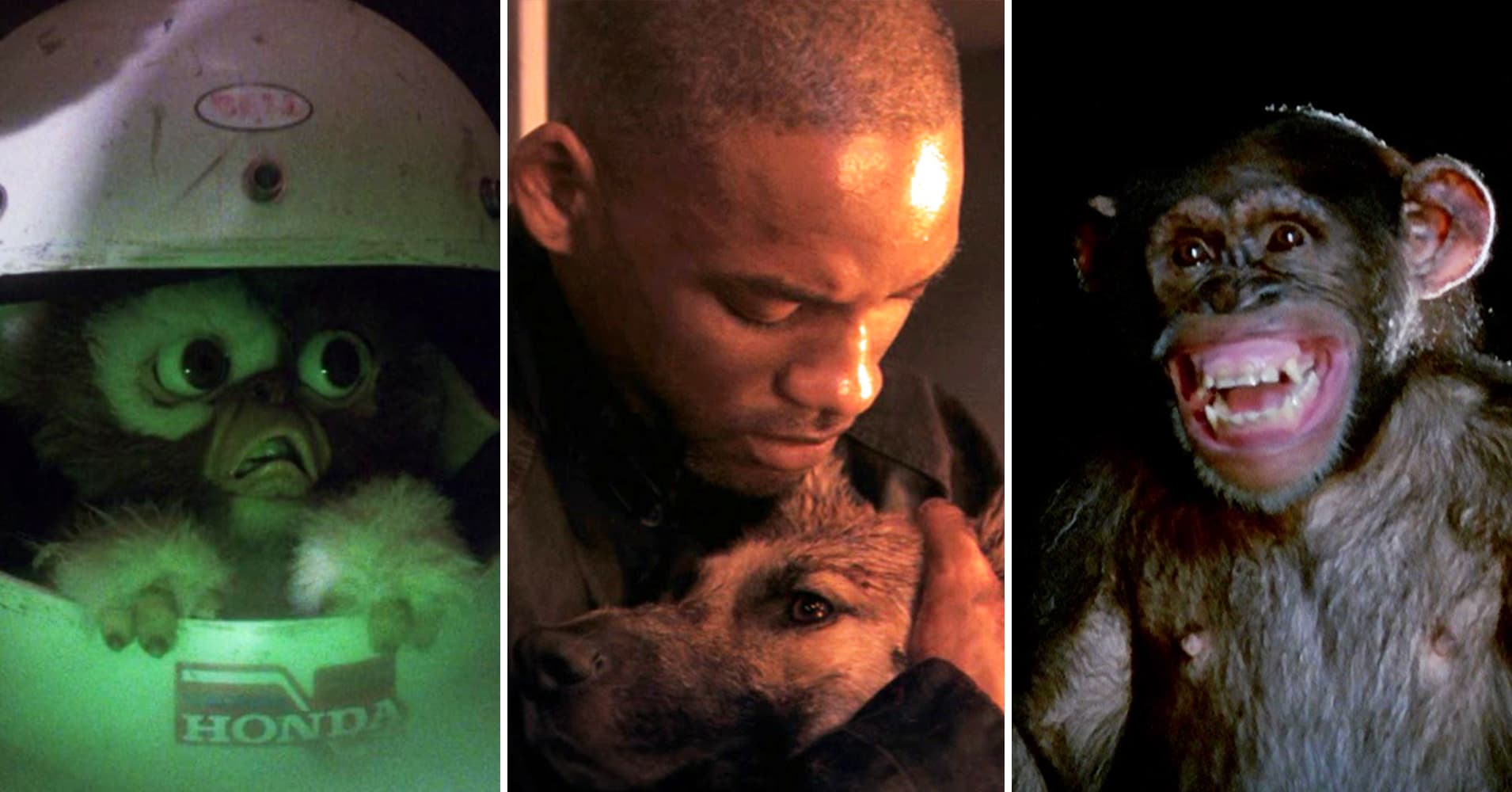 Shudder's Top 5 Best Pets In Horror, Ranked