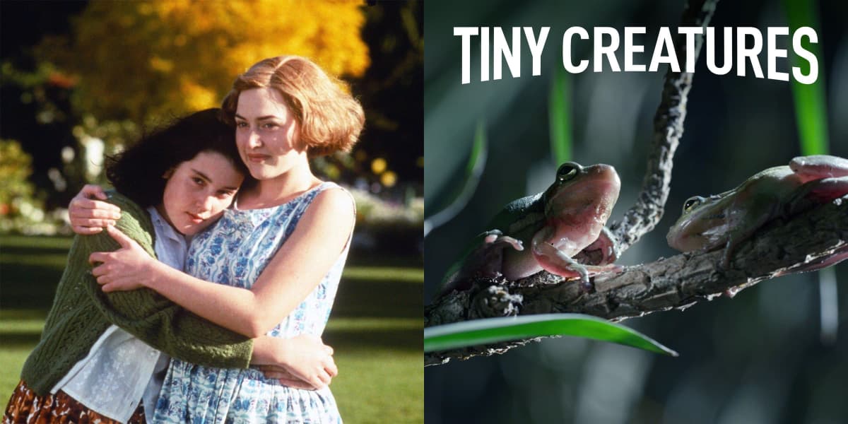 Every Major Film And Show With Creatures In The Title