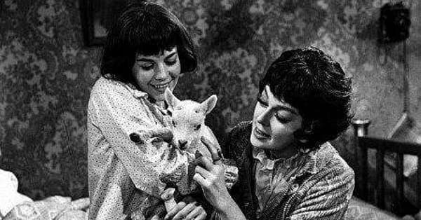 Gypsy Characters | Cast List of Characters From Gypsy