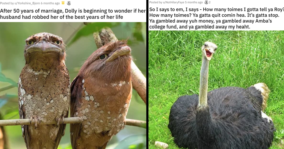 This Subreddit Gives Short Backstories To Fabulous Birds That Look Like ...