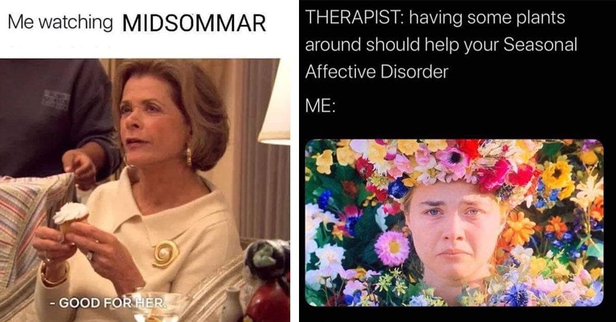 21 Perfect Memes To Help You Relive ‘Midsommar,’ Without Being Ritually ...
