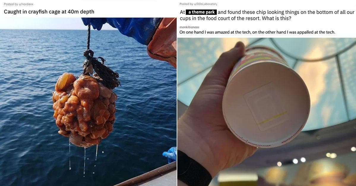People Are Asking For Help Identifying Strange Objects, And The Answers Are Truly Surprising