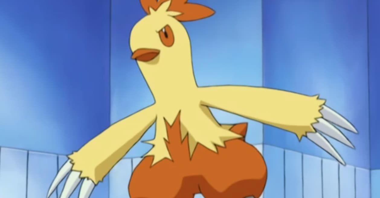 The 35+ Best Nicknames For Combusken, Ranked