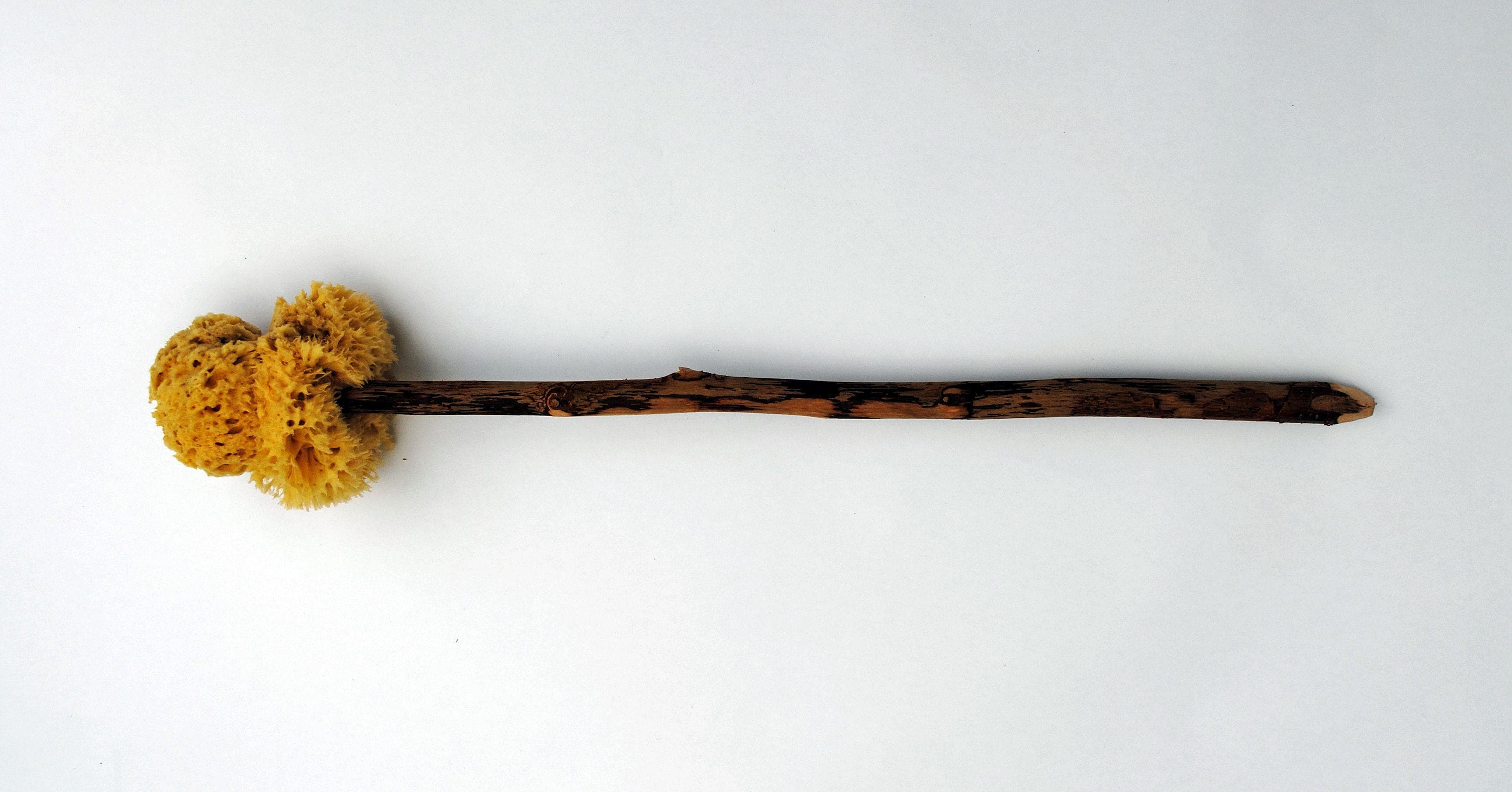 12 Historical Toilet Paper Options That Made Us Clench Our Cheeks