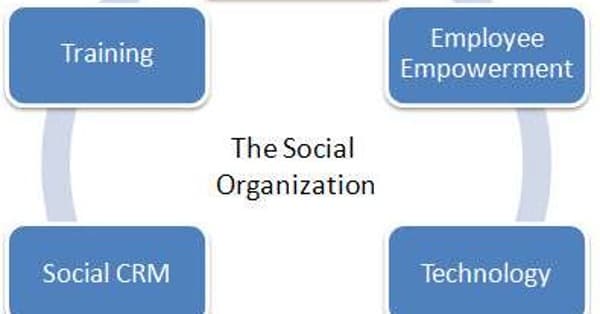 Organization Quotes | Best Famous Quotations About Organization