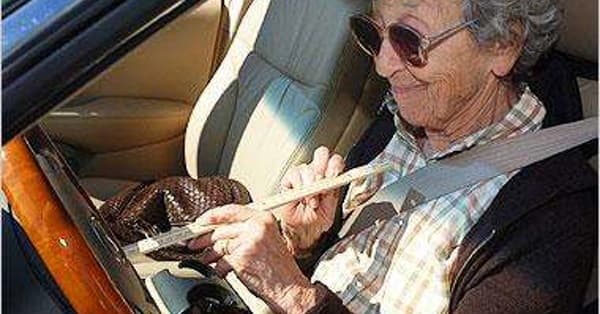 The 20 Best Cars For Seniors, Ranked