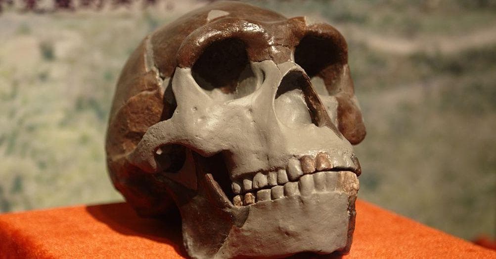 Important Historical Artifacts That Are Still Missing