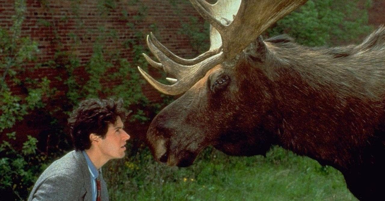 Every Season Of 'Northern Exposure', Ranked