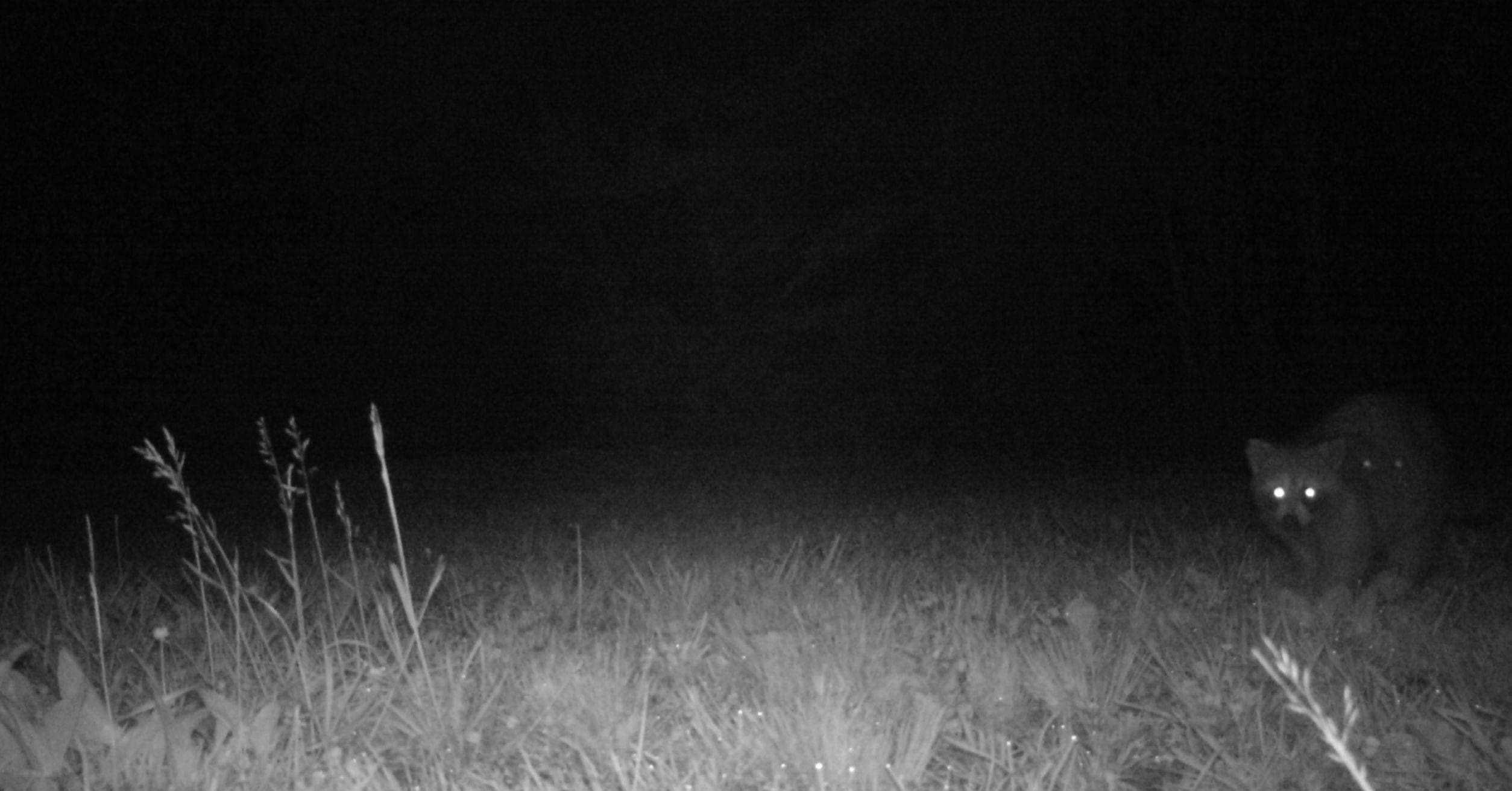 16 Creepy Hunting Stories That Are Absolutely Horrifying