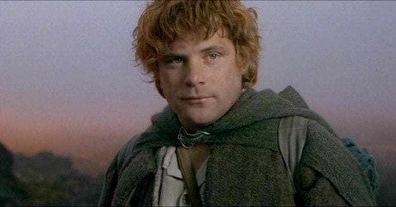 Samwise Gamgee Memes That Prove He's The Most Underrated Lord Of The ...