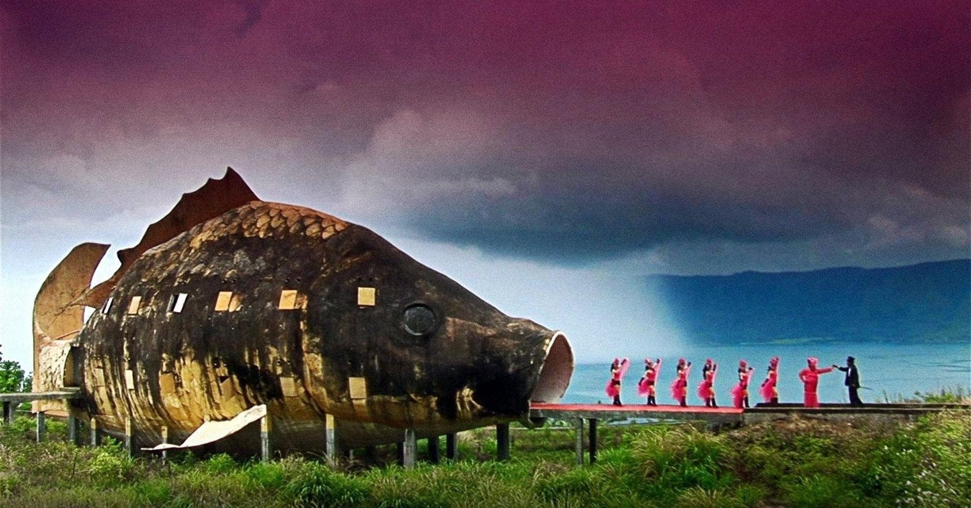 The 25+ Best Foreign Documentaries of All Time