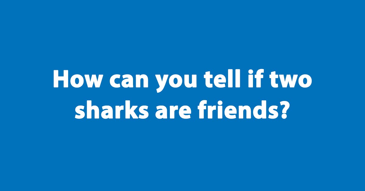 The 25 Best Shark Jokes, Ranked