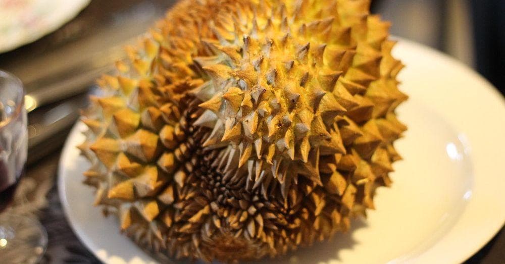 Common Foods Considered Delicacies In Other Countries