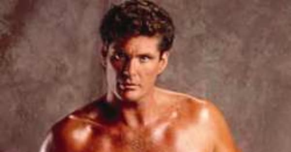 David Hasselhoff Movies List: Best to Worst