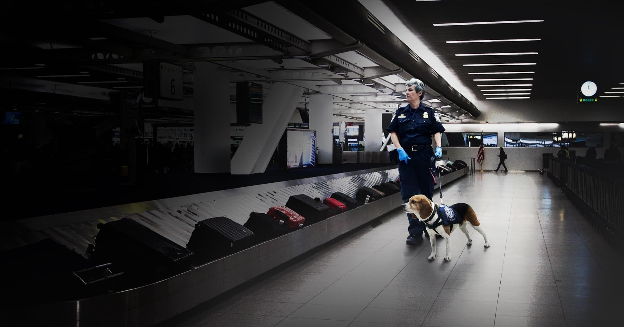 Every Episode of To 'Catch a Smuggler', Ranked Best To Worst