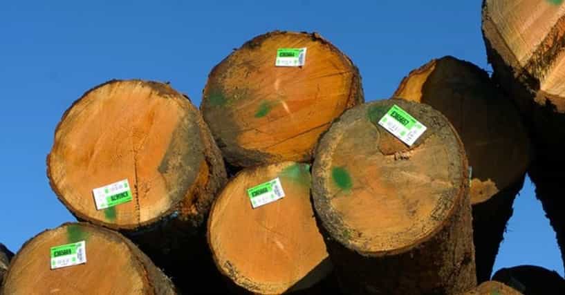 Lumber Companies | List of Top Logging Firms Lumber Companies | List of Top Logging Firms