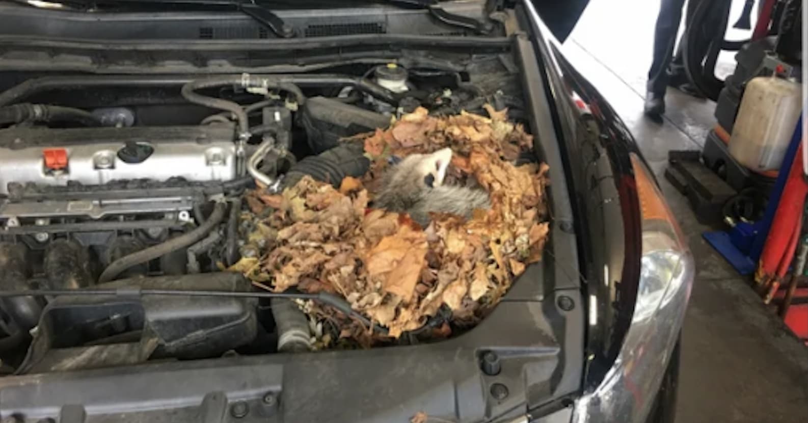 27 Memes That Only Auto Mechanics Will Relate To