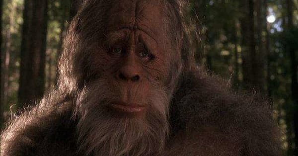 Best Pictures of Bigfoot | Real Photos of Sasquatch