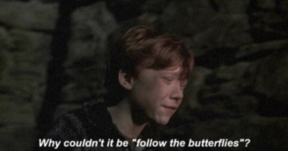 Ron Weasley Quotes Spiders