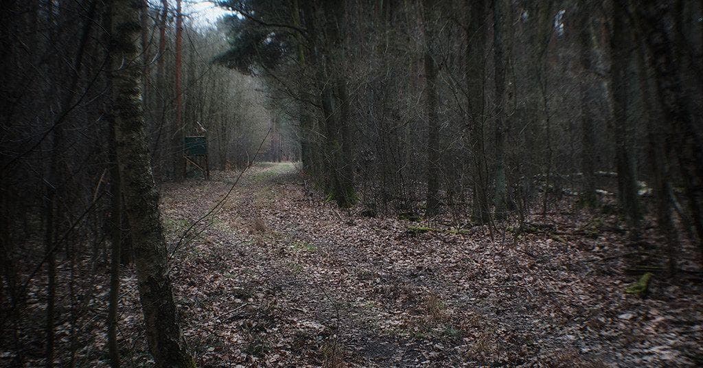 People Who Disappeared Share What Happened