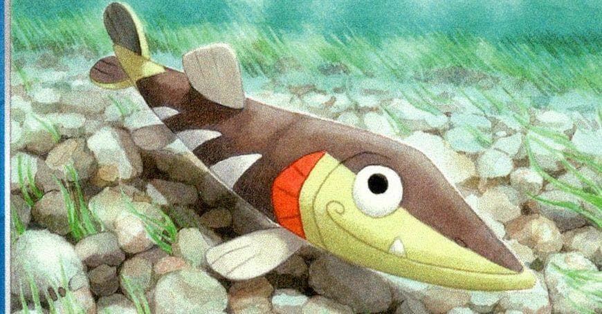 The 50+ Best Nicknames For Arrokuda, Ranked