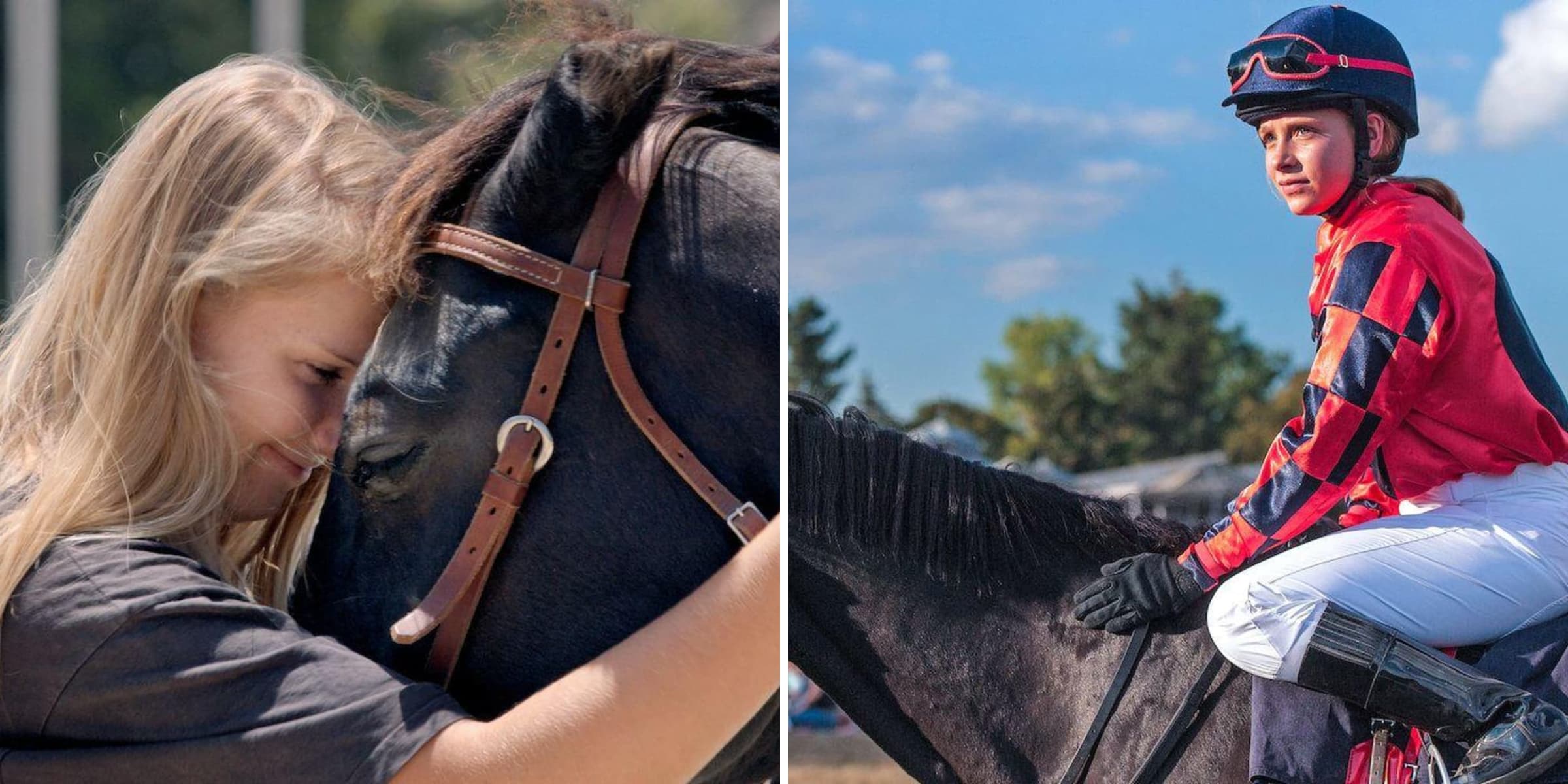 The 12 Best Horse Movies On Netflix, Ranked