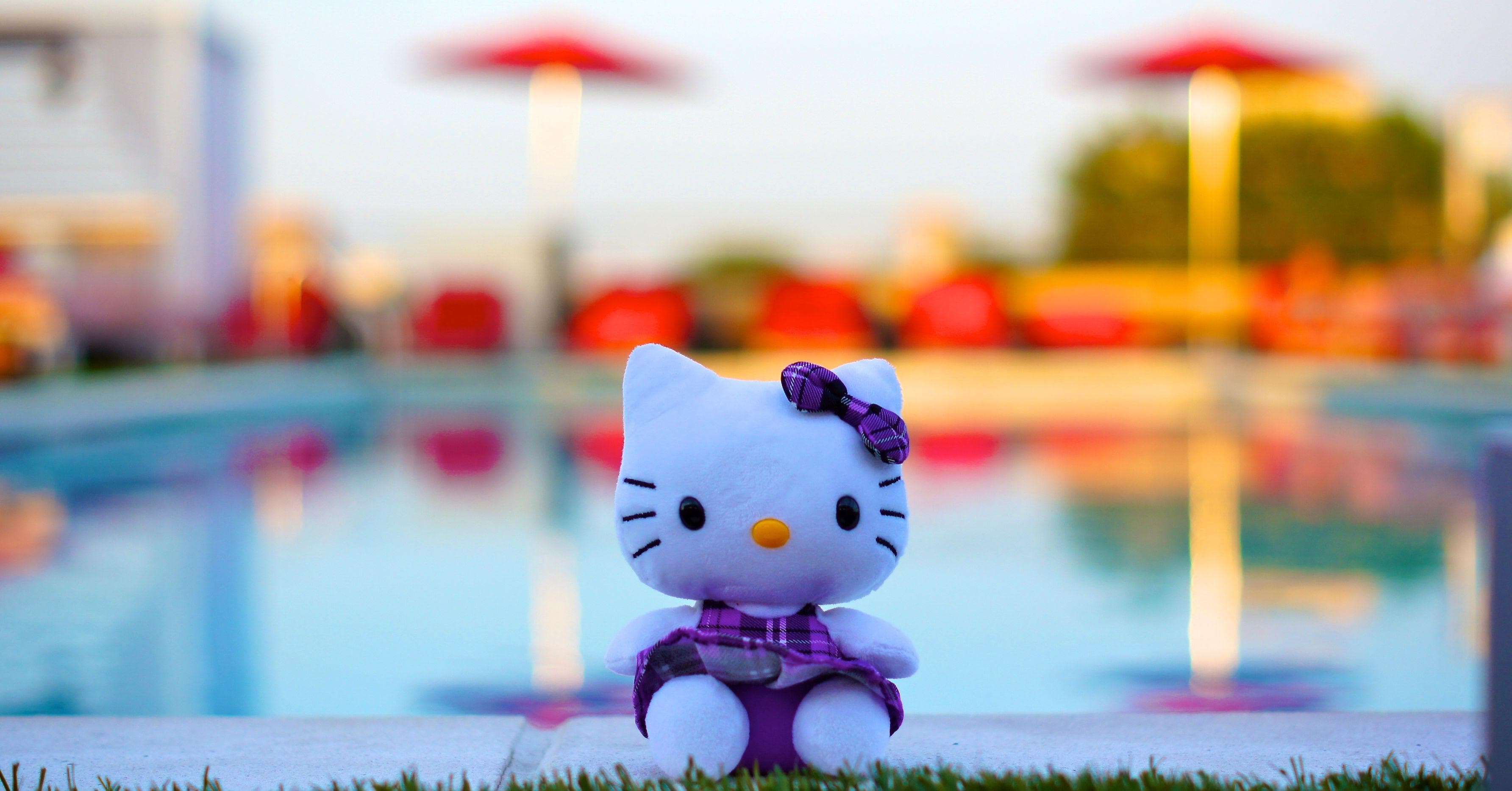 Hello Kitty's Origin Comes From Kawaii Culture, A Post-War Punk Movement