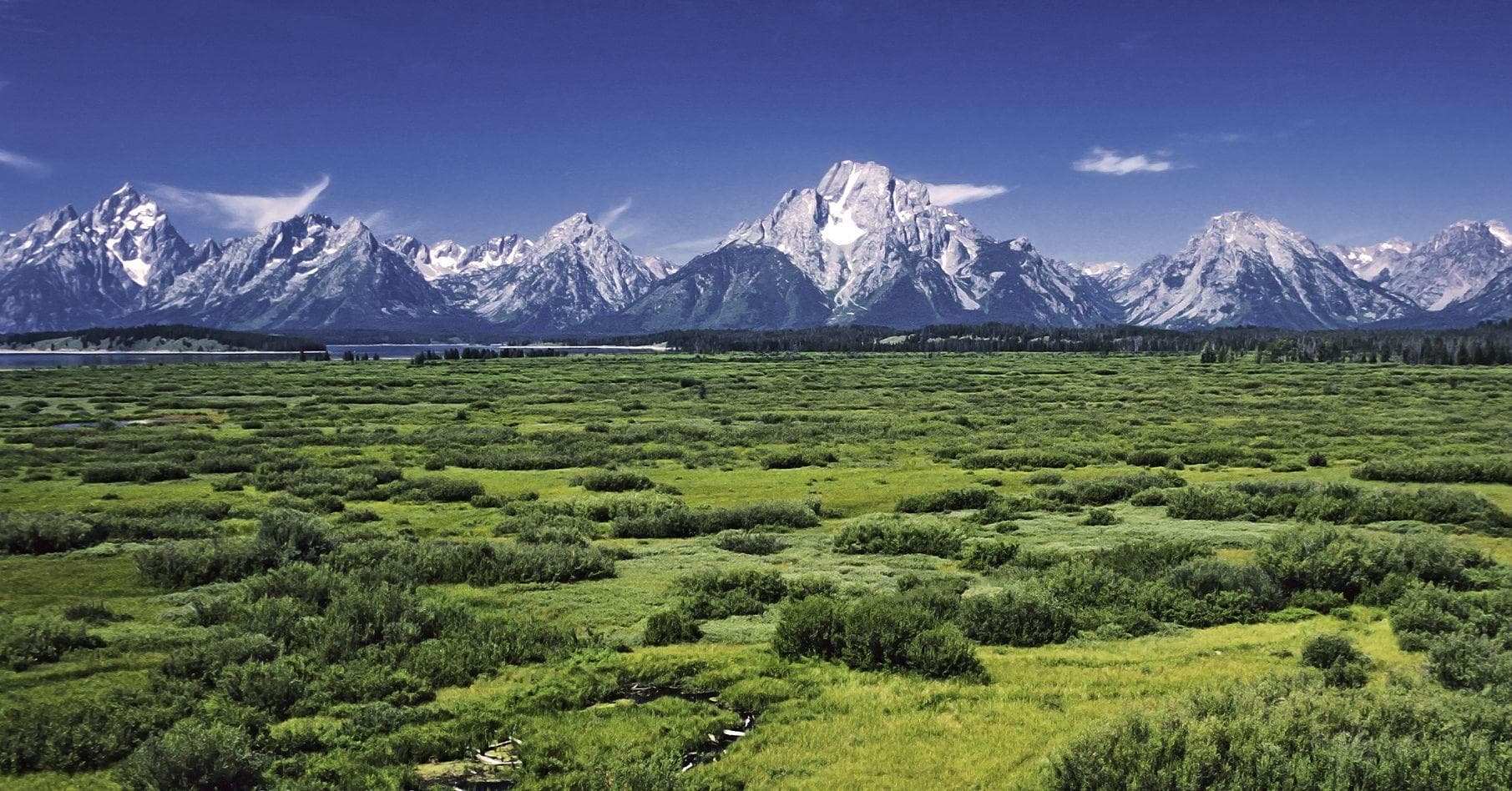 People Talk About Why They Love The United States Of America