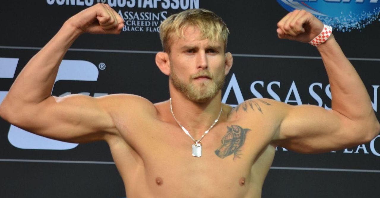 The Best Swedish UFC Fighters Of All Time, Ranked By Fans