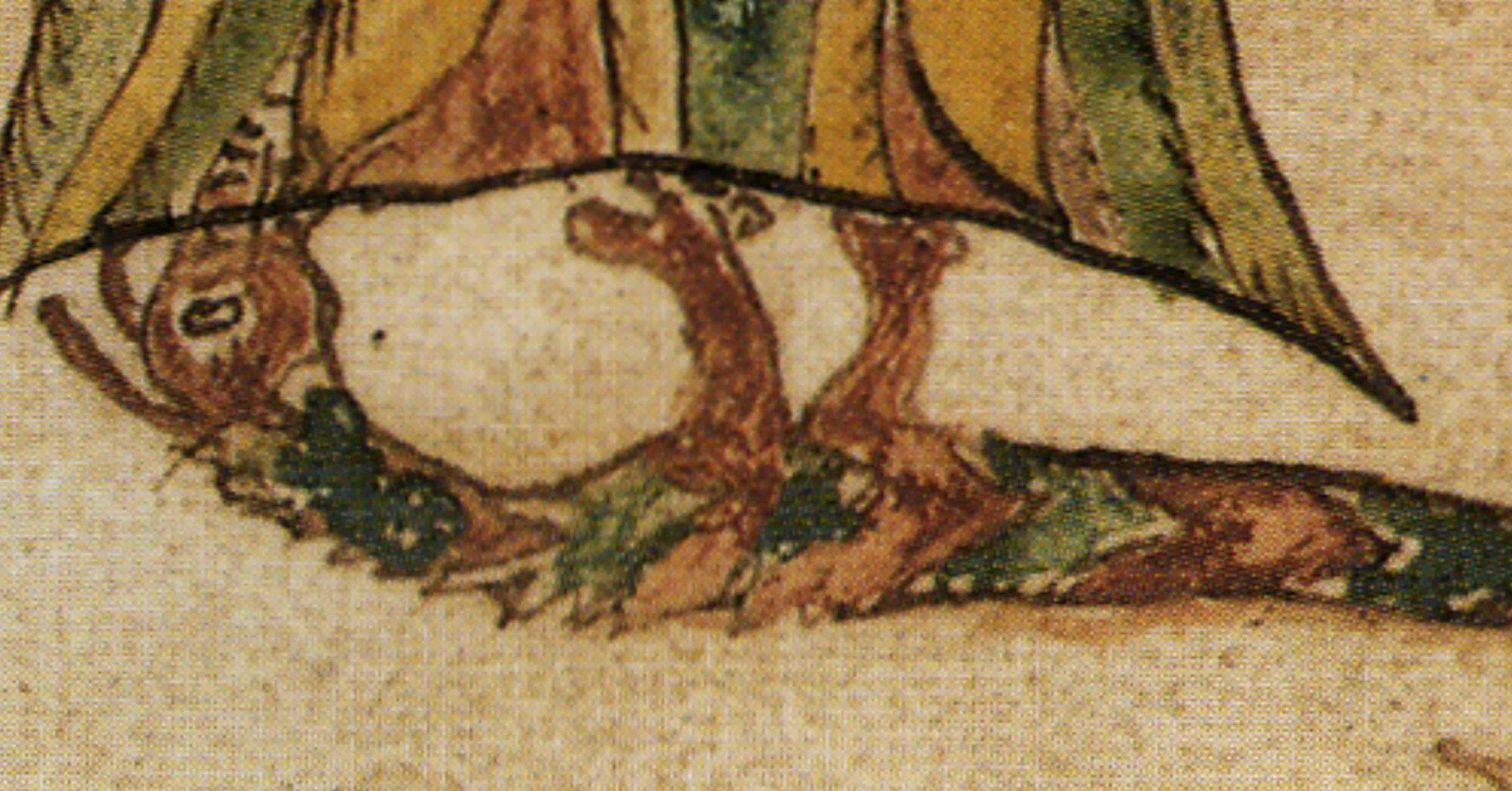 Nidhogg Dragon Norse Mythology