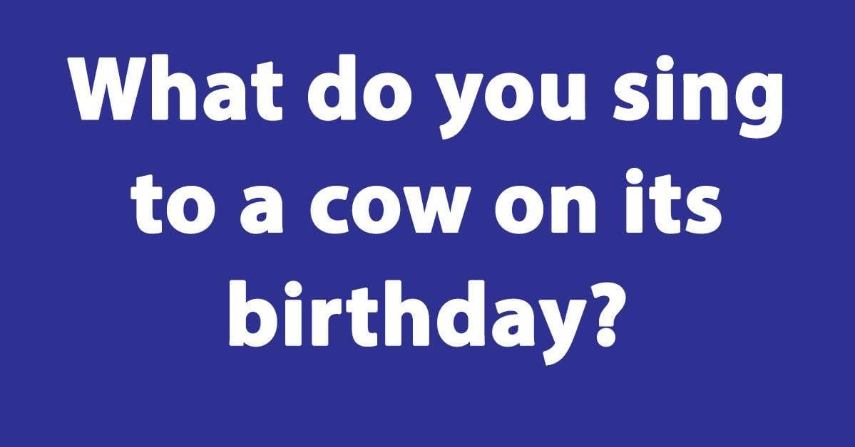 The Best Roses Are Red Jokes, Ranked