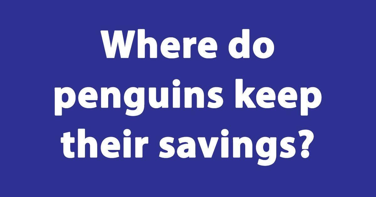 The 25 Best Penguin Jokes, Ranked