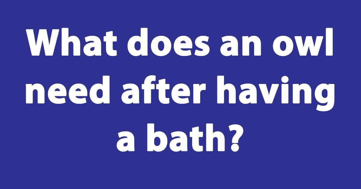 The 25 Best Owl Jokes, Ranked