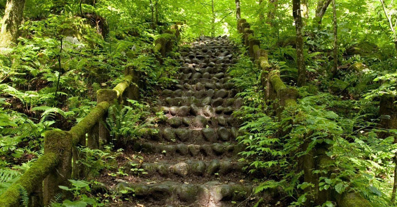 People Share Creepy And Disturbing Experiences They've Had In National ...