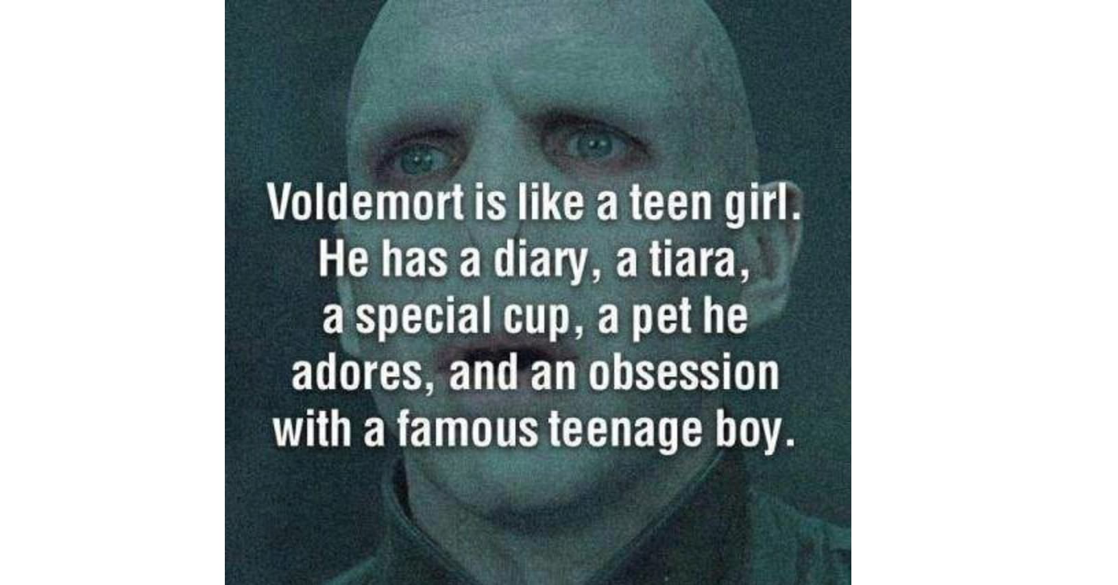 22 Memes That Have Us Calling Voldemort "He Who Should Not Be Respected"