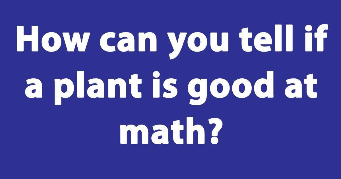 The 25 Best Lame Jokes That Are Eye-Rollingly Funny