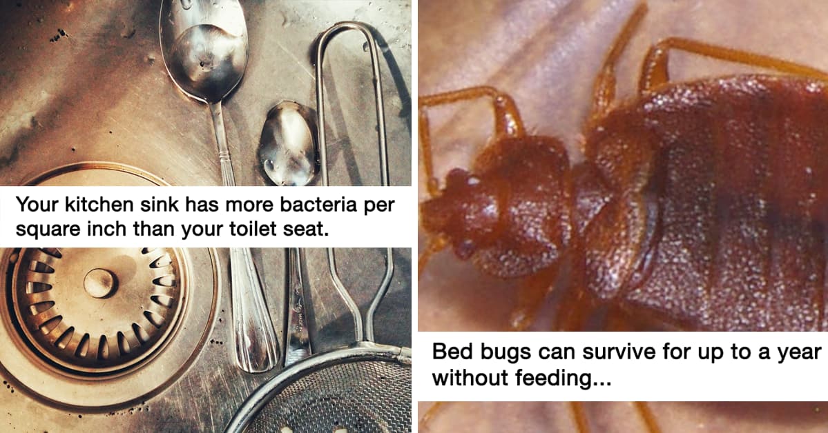 20 Disturbing Random Facts That Keep Us Up At Night