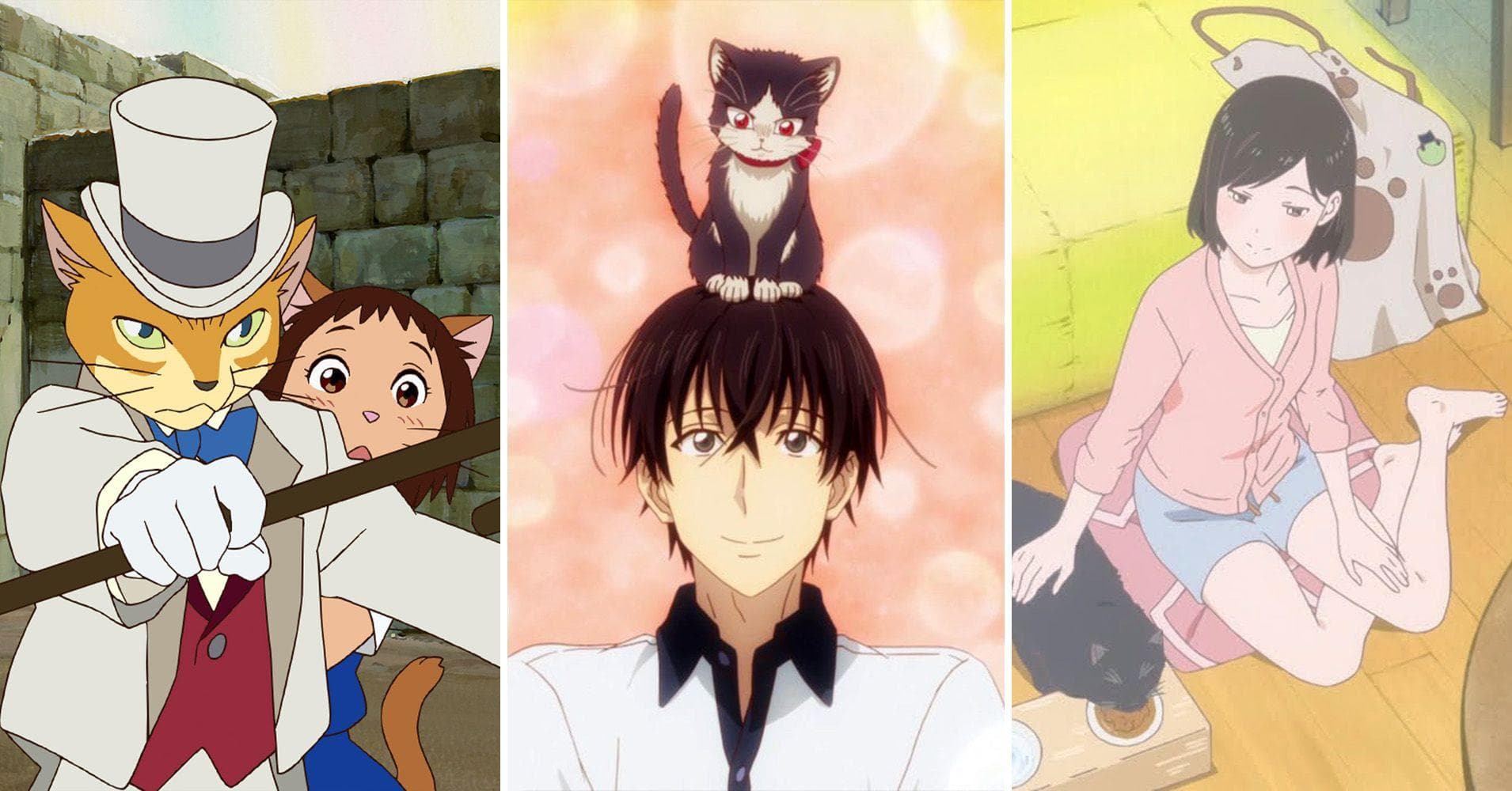 The 13 Best Anime For Cat Lovers, Ranked By Fans